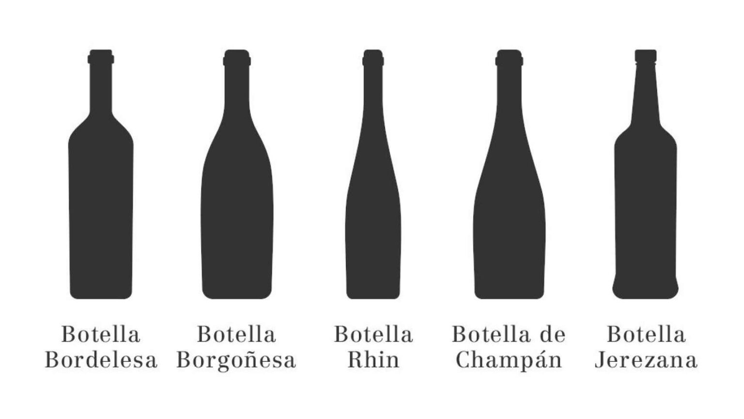 Tipos de botellas de vino: ¿Qué significan sus formas y estilos? - Enologo